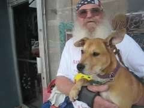 Luther Edmonson, dog groomer