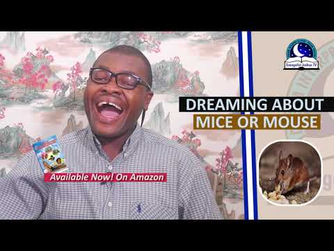 DREAMING ABOUT MICE/MOUSE - Biblical And Spiritual Meaning Of Mice