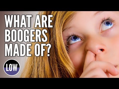 What are Boogers and Where Do They Come From?