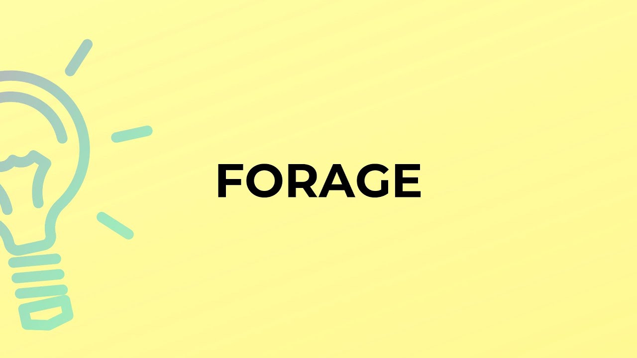 What is the meaning of the word FORAGE?