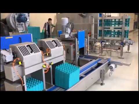 Egg tray washer 6500 trays/h + pallet washer 100 pallet/h - one operator - by Triplelima bv