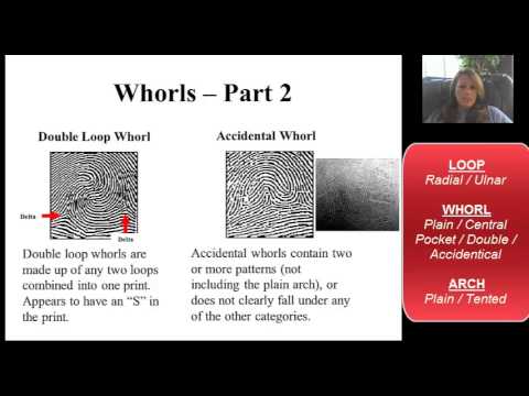 Fingerprint Video Lecture (19:03)