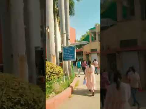 kalindi college. #university_ of_delhi.❤️