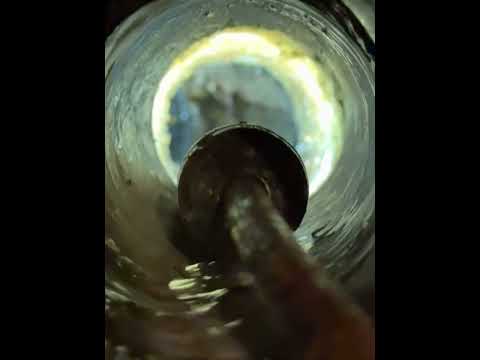 Roots in Pipe! #rooter #plumbing #cloggeddrain