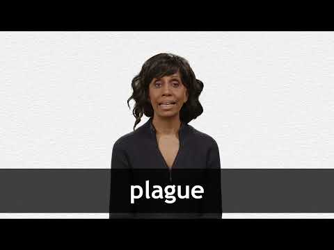 How to pronounce PLAGUE in American English