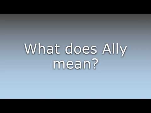 What does Ally mean?