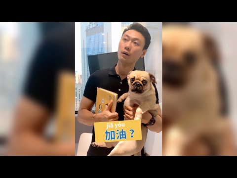 Jorge Learns Chinese: 加油 (Jiāyóu)!
