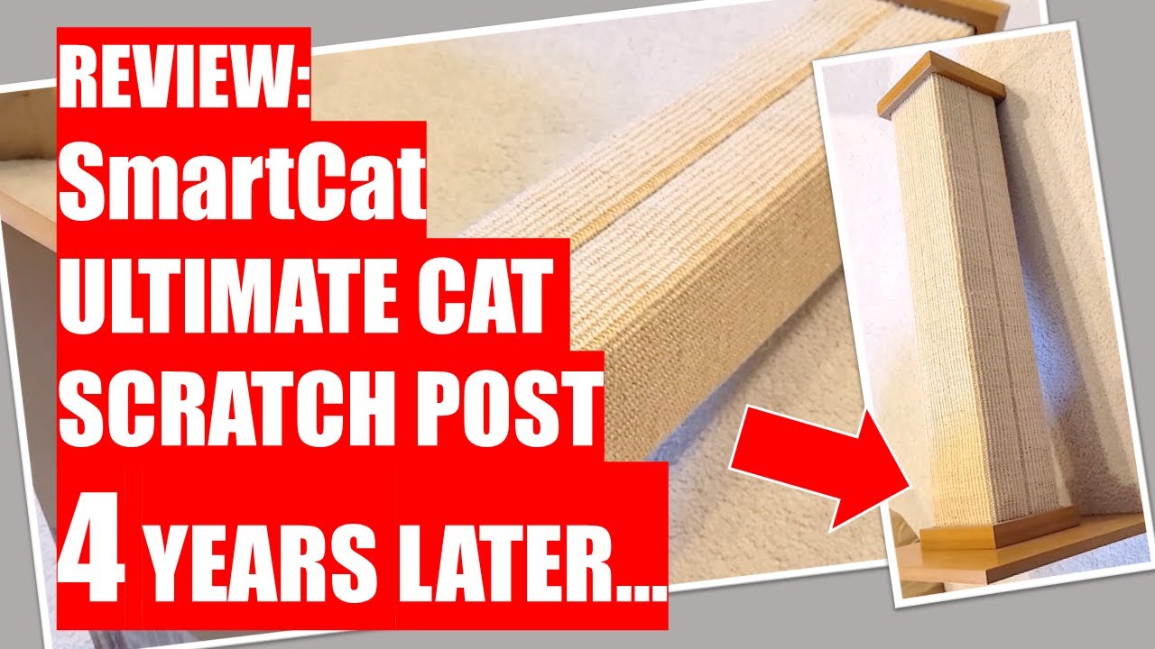 REVIEW: SmartCat Ultimate Cat Scratch Post - 4 Years Later...