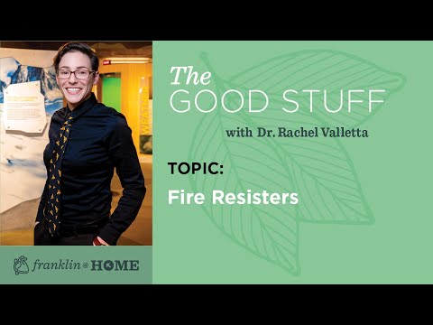 The Good Stuff: Fire Resisters
