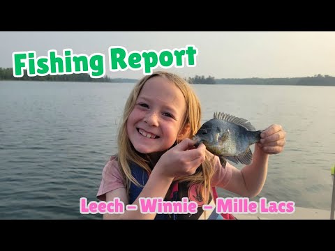 Minnesota Fishing Report - Mille Lacs Lake, Leech Lake and Lake Winnie 06-20-25