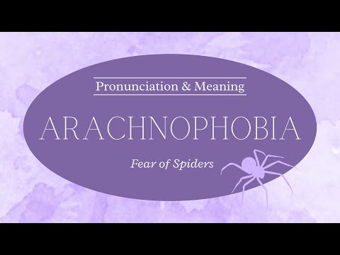 How to Pronounce: Arachnophobia | Pronunciation & Meaning (British English)
