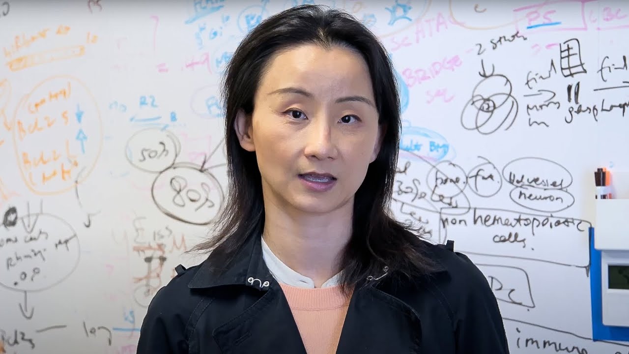 The Lu Lab is hiring
