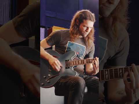 Epiphone Dave Grohl DG-335 Electric Guitar Demo | zZounds #epiphone #davegrohl