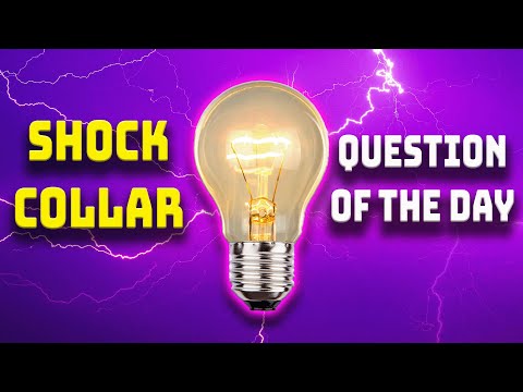 STRAIGHT OUTTA '98 - Ep. 1142 (Shock Collar Question) | Brooke and Jeffrey
