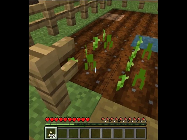 Hot & Spicy (Add-On) Minecraft Mod