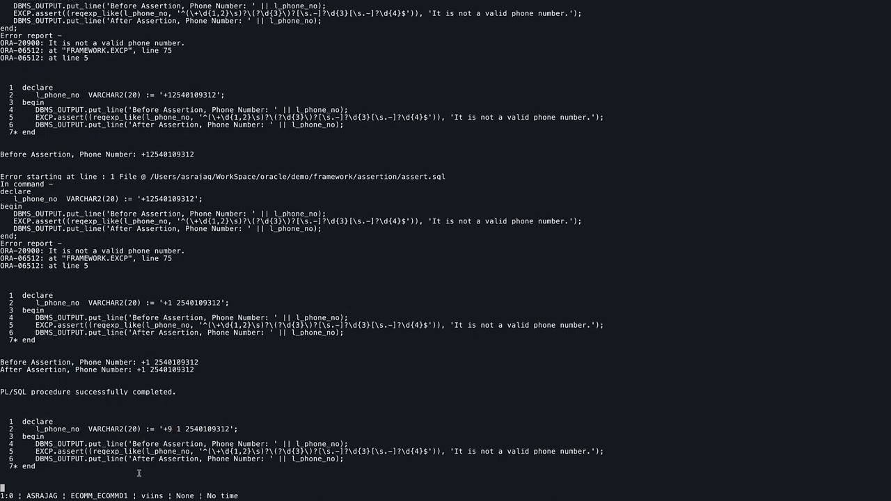 Assertion - PLSQL