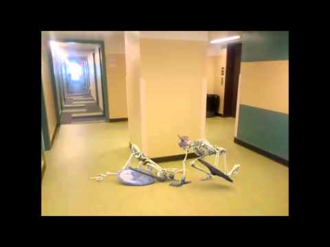 Steam Community :: 16 Bit Arena