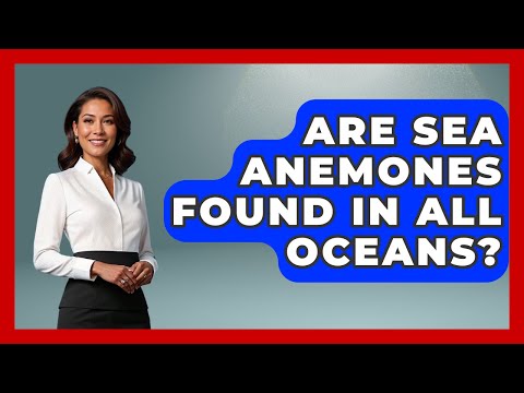 Are Sea Anemones Found In All Oceans? - The Marine Life Explorer