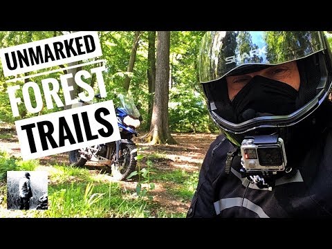 Riding Unmarked Motorcycle Forest Trails – REVELATOR ALF