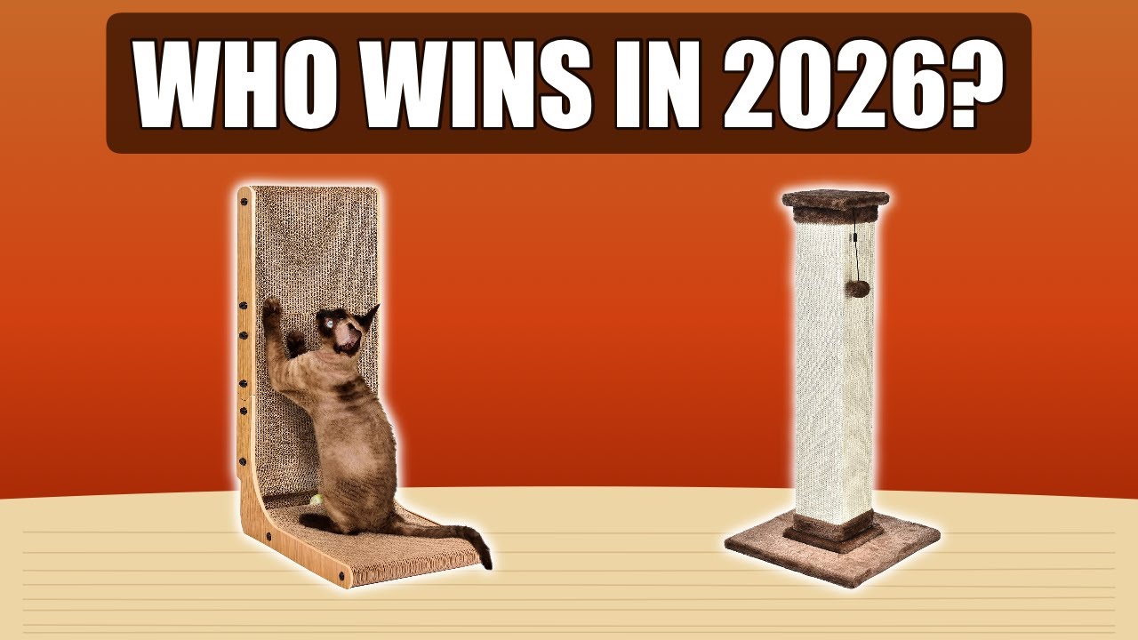 Top 5 Best Cat Scratching Posts in 2026