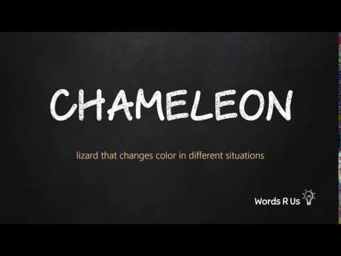 How to Pronounce CHAMELEON in American English