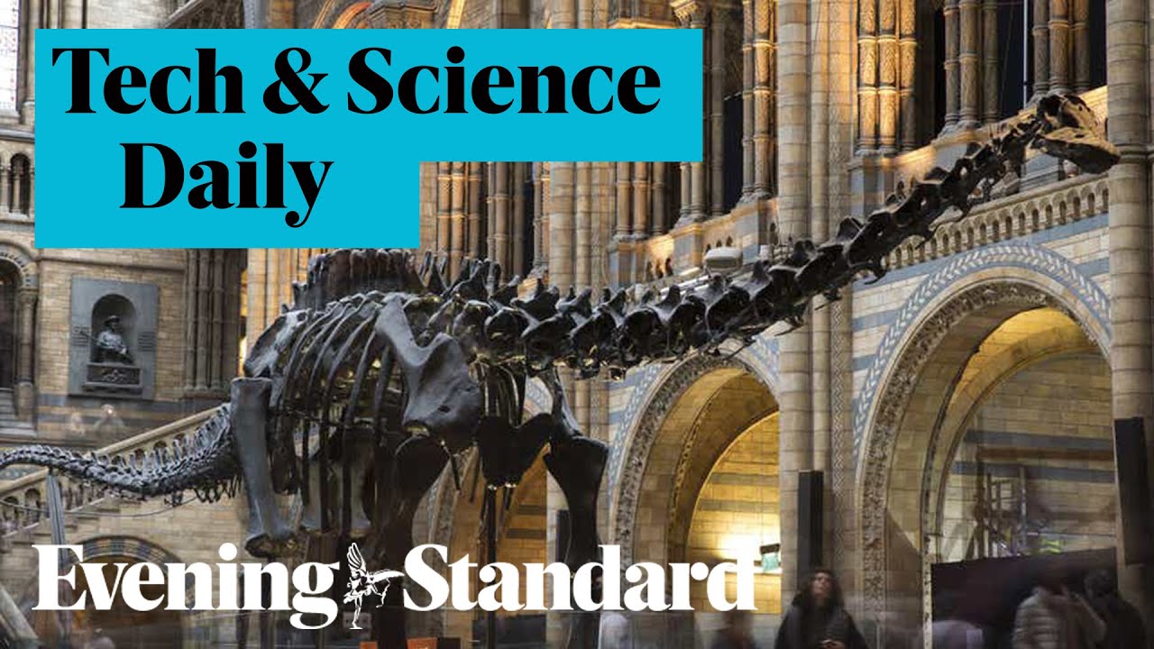 🐲World famous Dinosaur 'Dippy' returning home to London