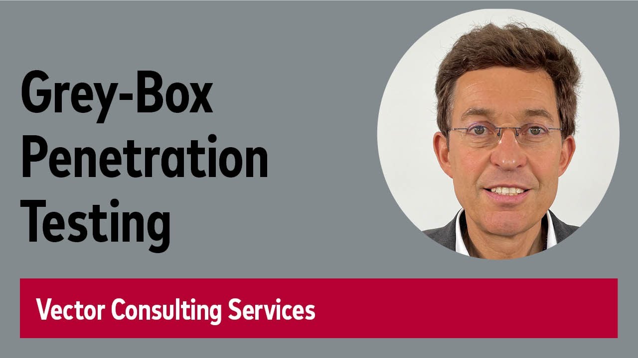 사이버 보안 테스트 | Vector Consulting