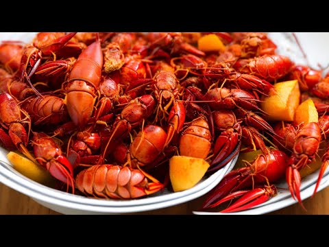 Purging Crawfish for the Perfect Boil: Live Crawfish Prep
