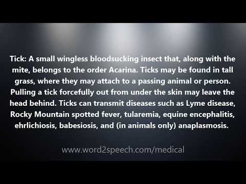 Tick - Medical Definition and Pronunciation