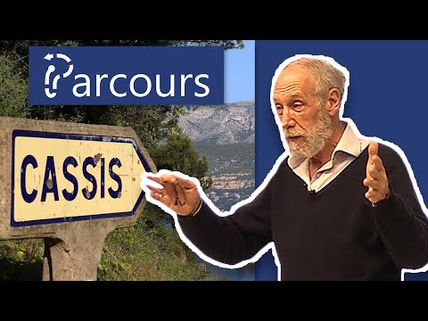 Parcours d’un Mathématicien : Alain Connes, Pierre-Louis Lions | Math ...