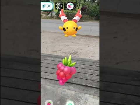 how to catch new pokemon chingling - pokemon go #shorts #pokemongo #chingling