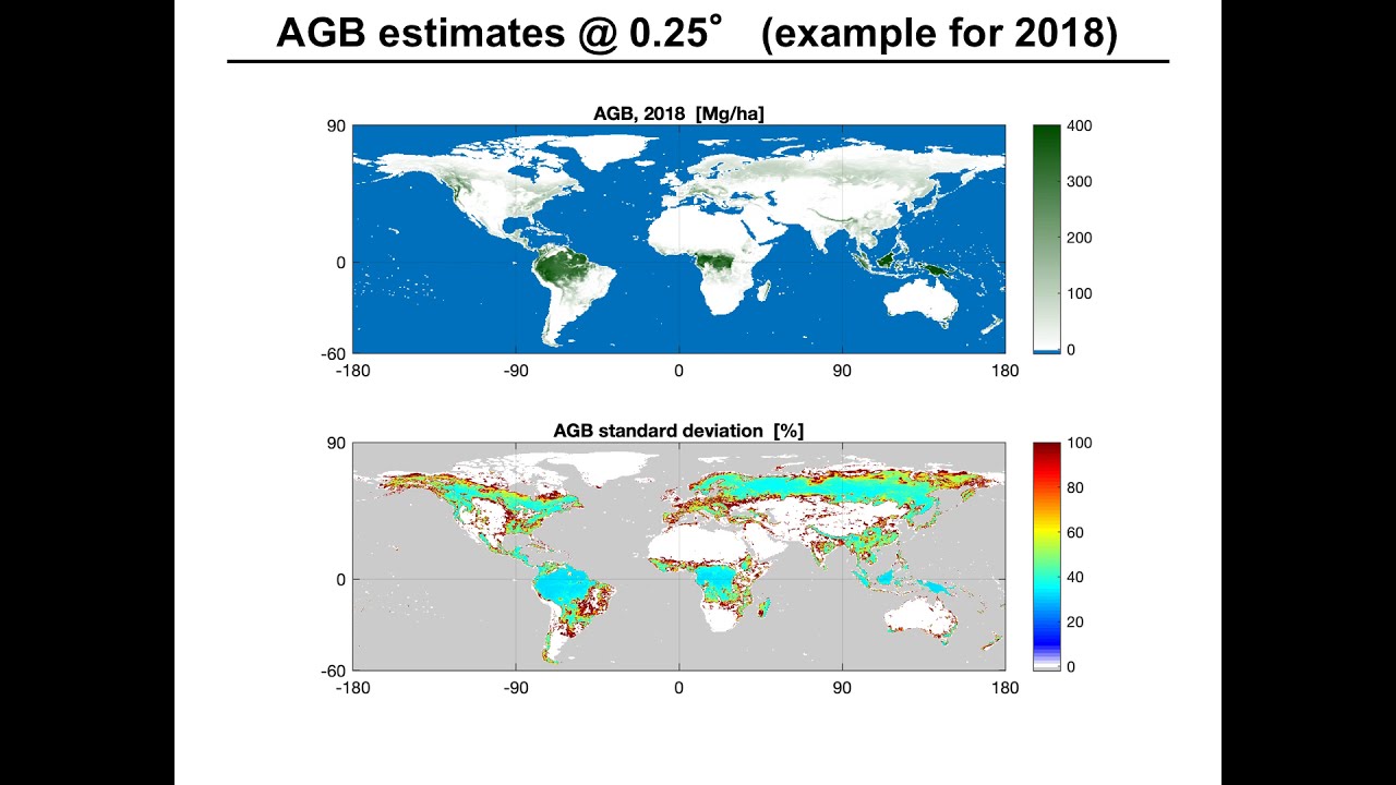 Estimation of Forest Above-Ground Biomass with C-Band scatterometer backscatter observations