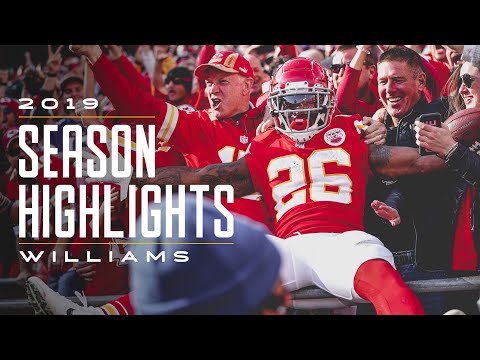 Damien Williams' 2019 Season Highlights | Kansas City Chiefs