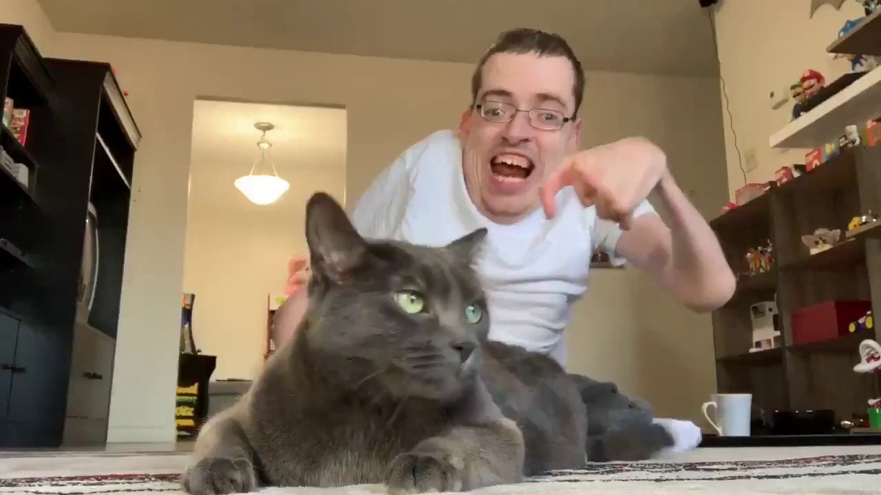 TAG 🐱 - Ricky Berwick