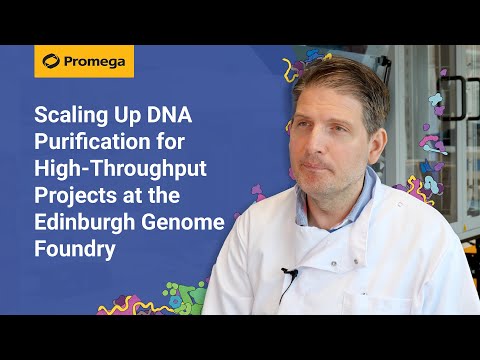 Scaling Up DNA Purification for High-Throughput Projects | Edinburgh Genome Foundry