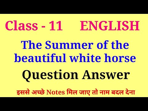 the summer of the beautiful horse class 11 questions answers | snapshot chapter 1 class 11 questions