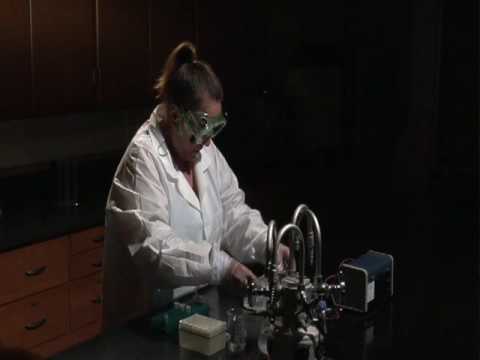 DNA Fingerprinting