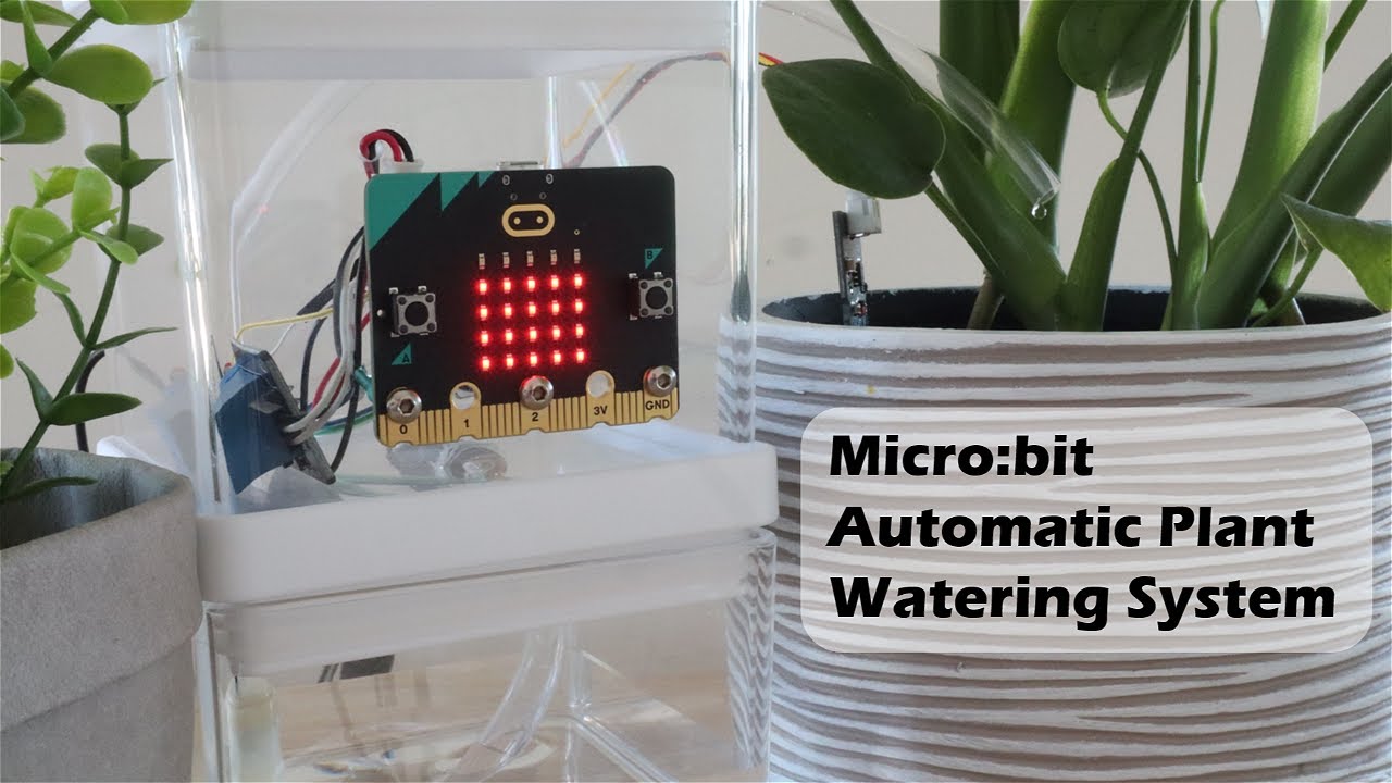 Micro:bit Automatic Plant Watering System