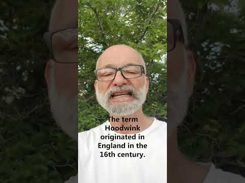 "Hoodwink" Meaning In English #shorts