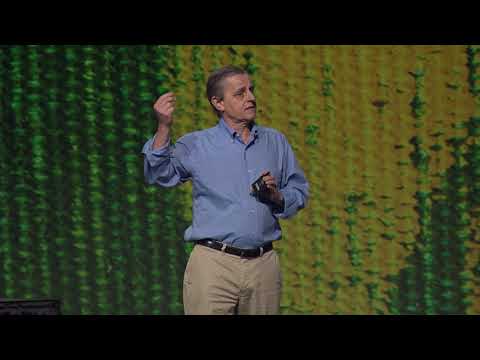 Critical Connections Live: Bioelectric Medicine