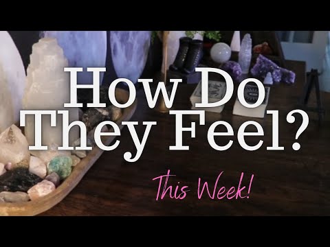 ALL SIGNS: Their FEELINGS For YOU This WEEK!!
