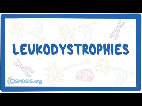 Leukodystrophy – causes, symptoms, diagnosis, treatment, pathology ...