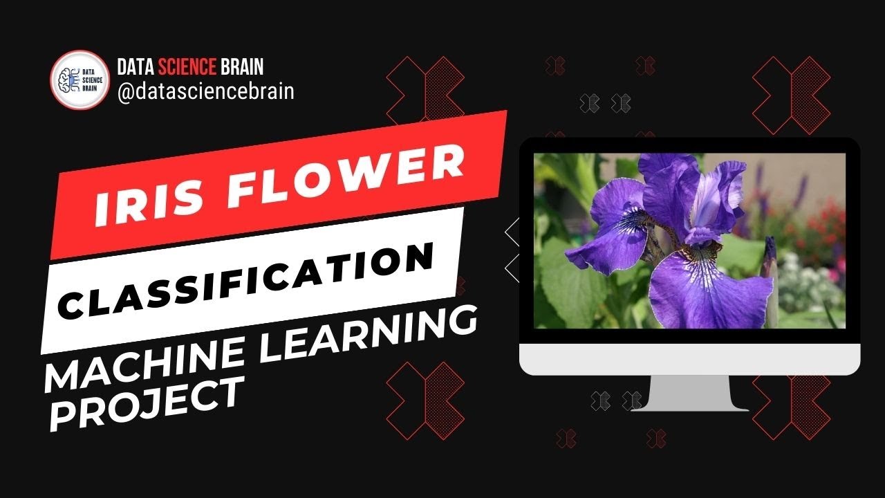 Machine Learning Project - Iris Flower Classification | @dsbrain