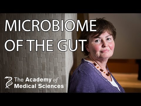 Dining out with friends: the intestinal microbiome | Professor Fiona Powrie FRS FMedSci