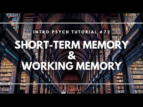 Short-Term Memory and Working Memory (Intro Psych Tutorial #72)