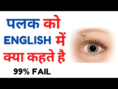 पलक को अंग्रेजी में क्या कहते है ? What is palak meaning in english | Palak meaning in english