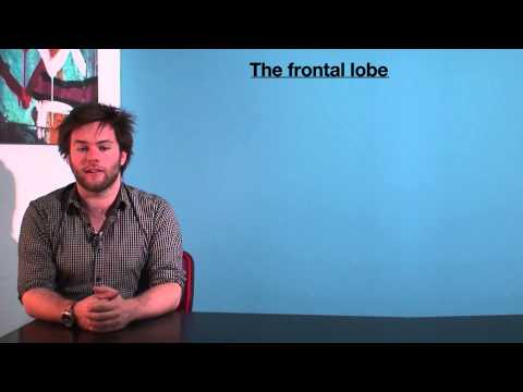 VCE Psychology - The Frontal Lobe