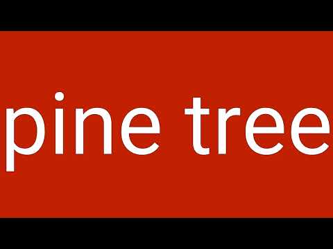 Pine Tree Definition & Meaning
