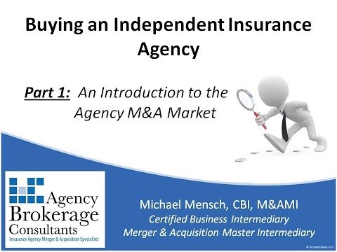 Buying an Insurance Agency: Part 1 - An Introduction to the Agency M&A Market