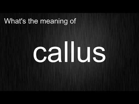 What's the meaning of "callus", How to pronounce callus?